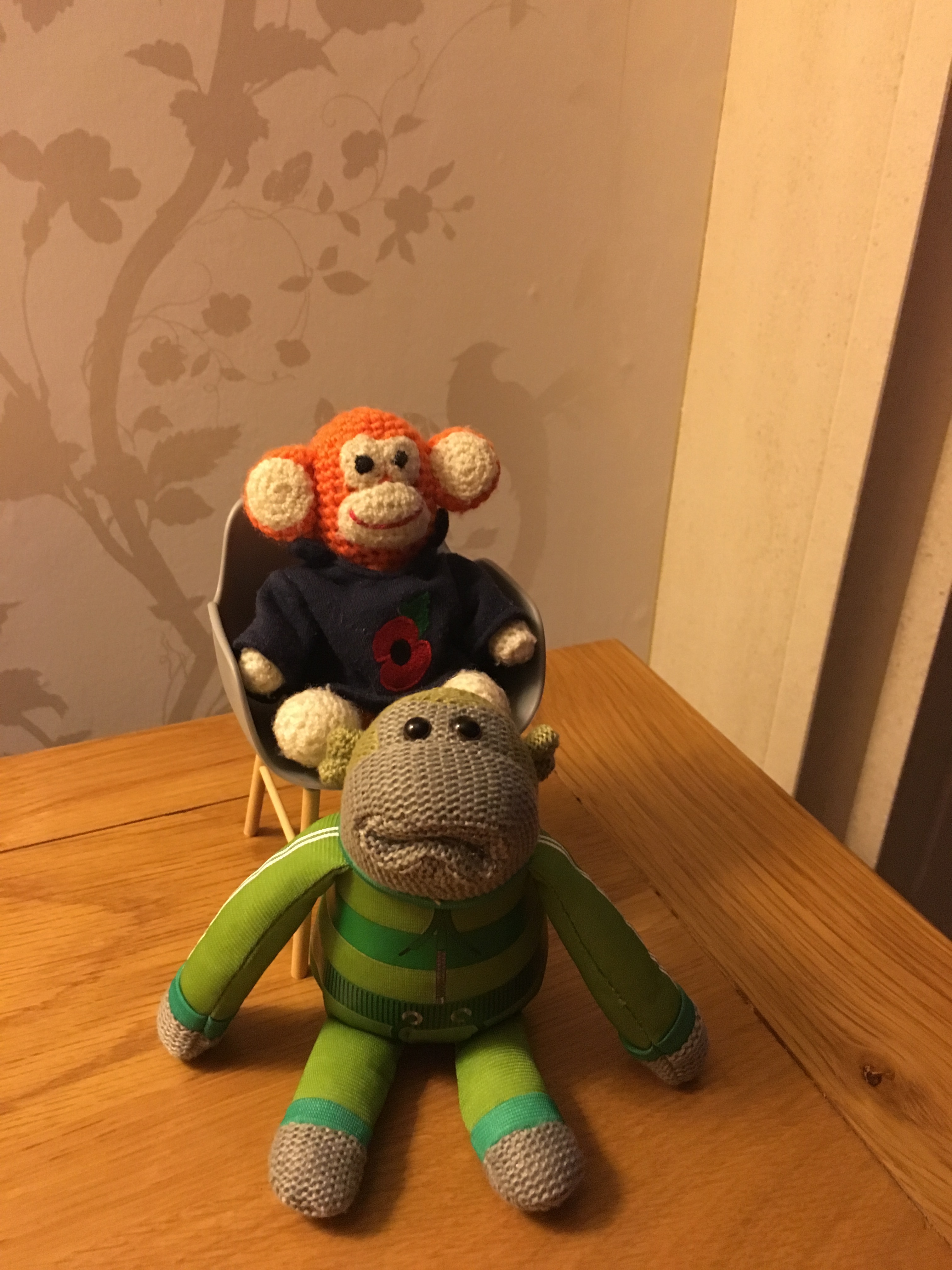 Introducing Monty | My friend Monkey